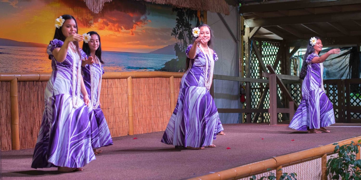 Napili Kai Foundation Keiki Hula Show – ADULT TICKET | Napili Kai ...