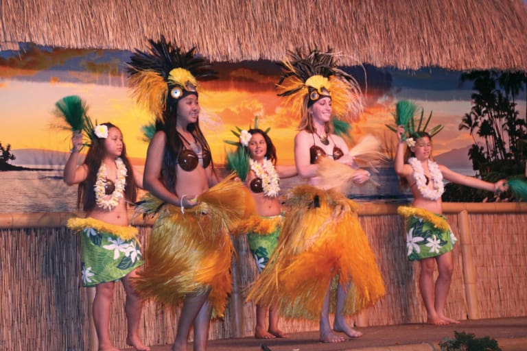 Show | Napili Kai Foundation